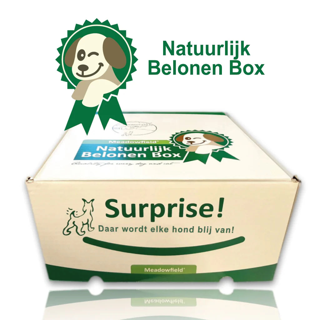 Variatie box - Compleet hondenvoer in blik - 15 x 400 gram = 6 kilo